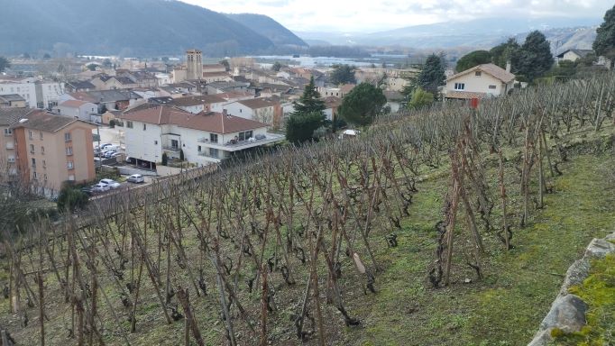 A Ampuis et Condrieu (Rhône) : Découvertes en vallée du Rhône et 10e ...